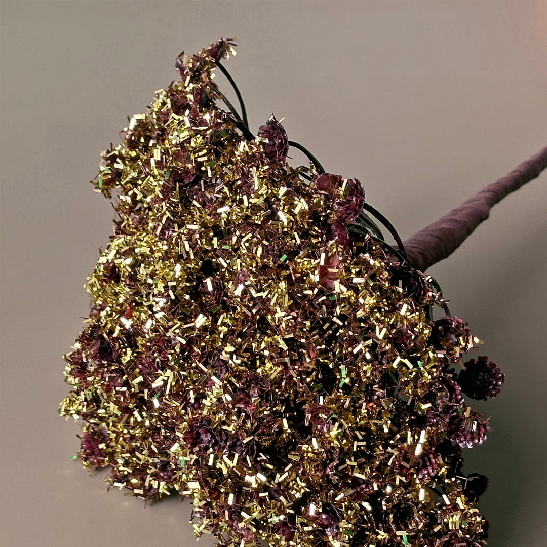 Coco Dust – House of Kaji