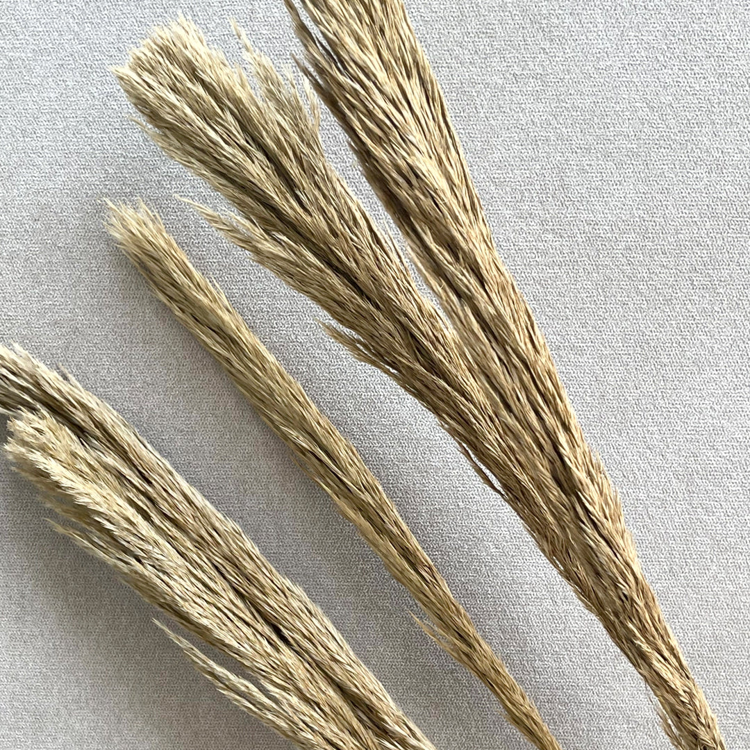 Dried Sprigs of Fall leaves (Natural) – House of Kaji